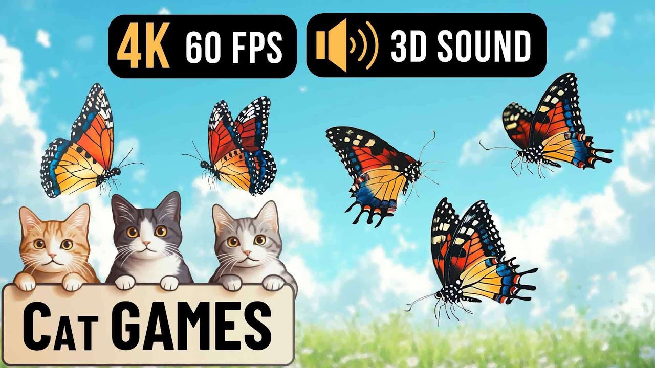10 Hours of Cat Games - Ball Chasing, Birds & Ribbons in 4K! | CAT ...