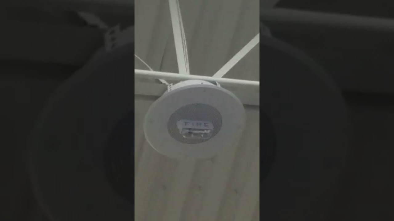 Walmart fire alarm Wheelock S8 - YouTube