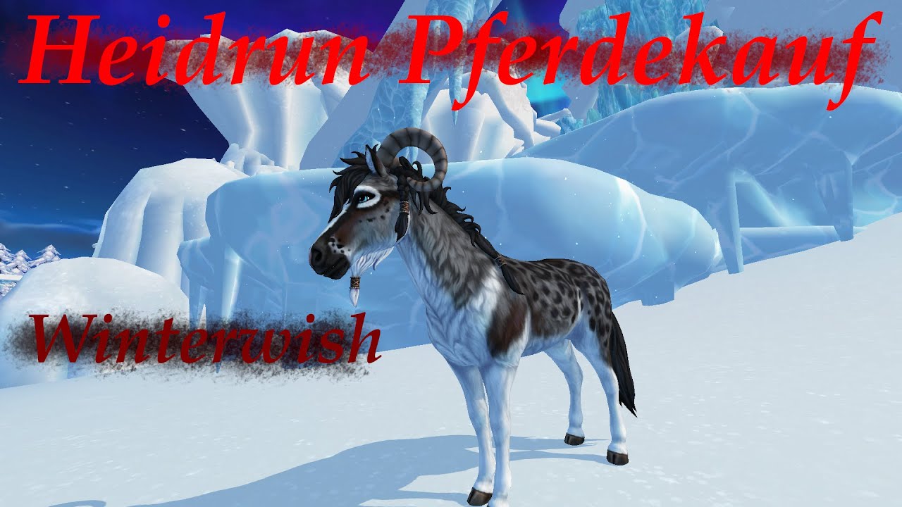 Willkommen Heidi! [HEIDRUN PFERDEKAUF] [SSO] - YouTube