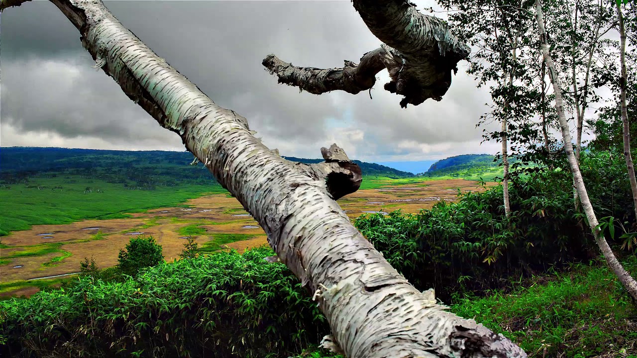 Video pemandangan indah,bawaan hp Fujitsu F02h - YouTube