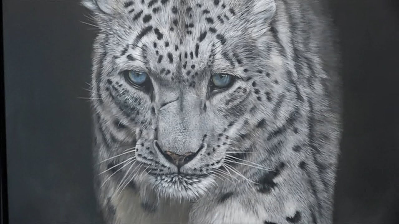 Hyper-realistic paintings of endangered animal species (UK) - YouTube