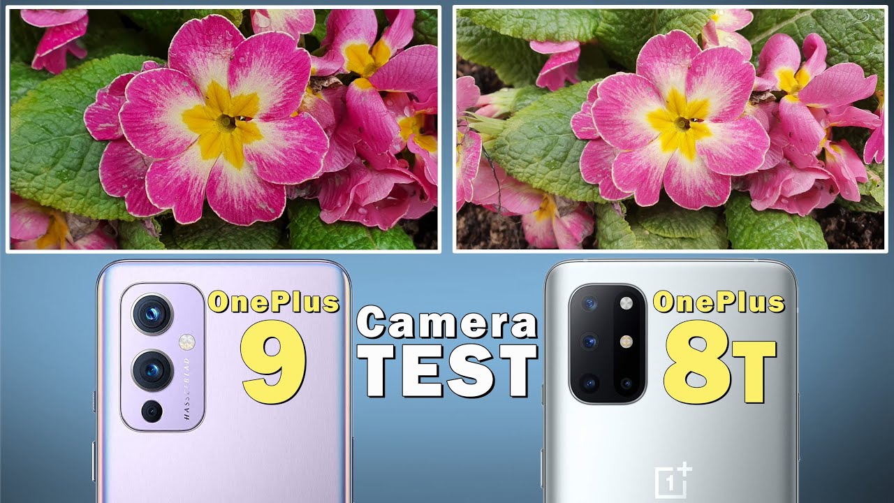OnePlus 9 vs OnePlus 8T Camera Comparison - YouTube
