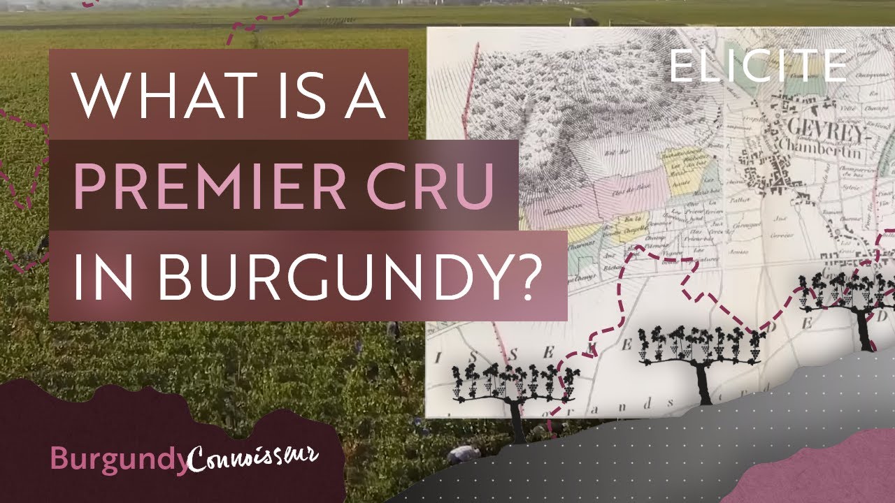Defining A Burgundy Premier Cru Wine - YouTube