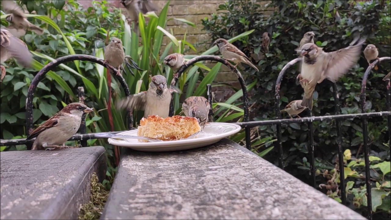 Autumn Life during Pandemics in UK - YouTube