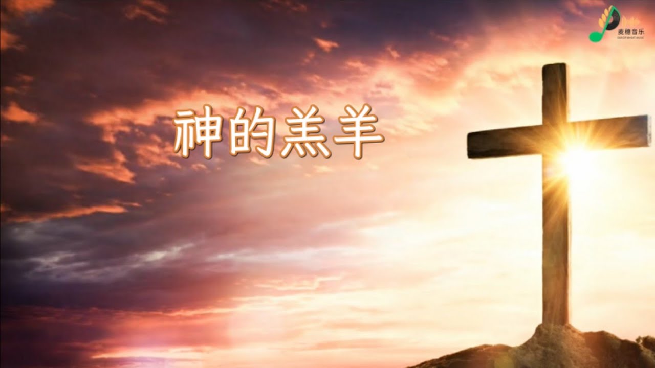 神的羔羊 翻唱：麦穗音乐（路一飞Luffy，溪水边Hannah，阿文Wen, 张伟德Wade zhang，李蕾妮Renee Li，李恩希 ...