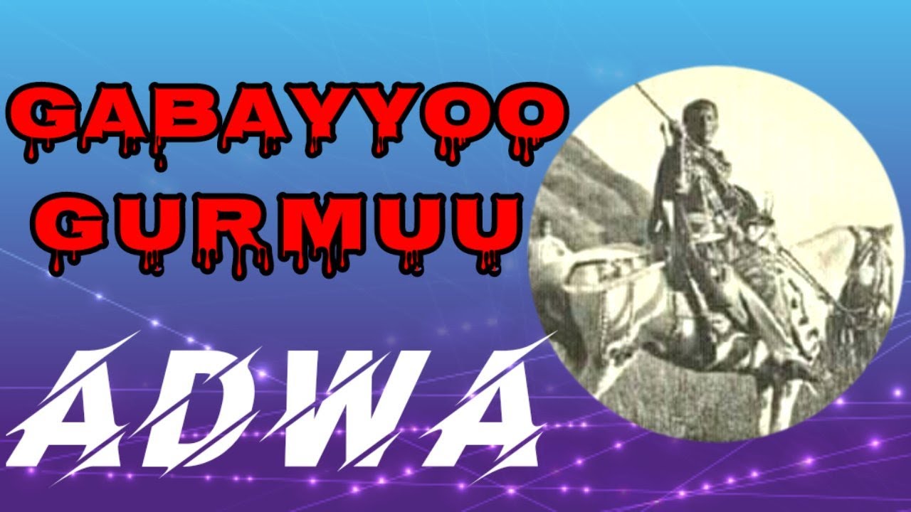 GABAYYOO GURMUU || Kutaa 1ffaa || #SEENAA_GOOTOTA_OROMOO || #SAGALEE ...