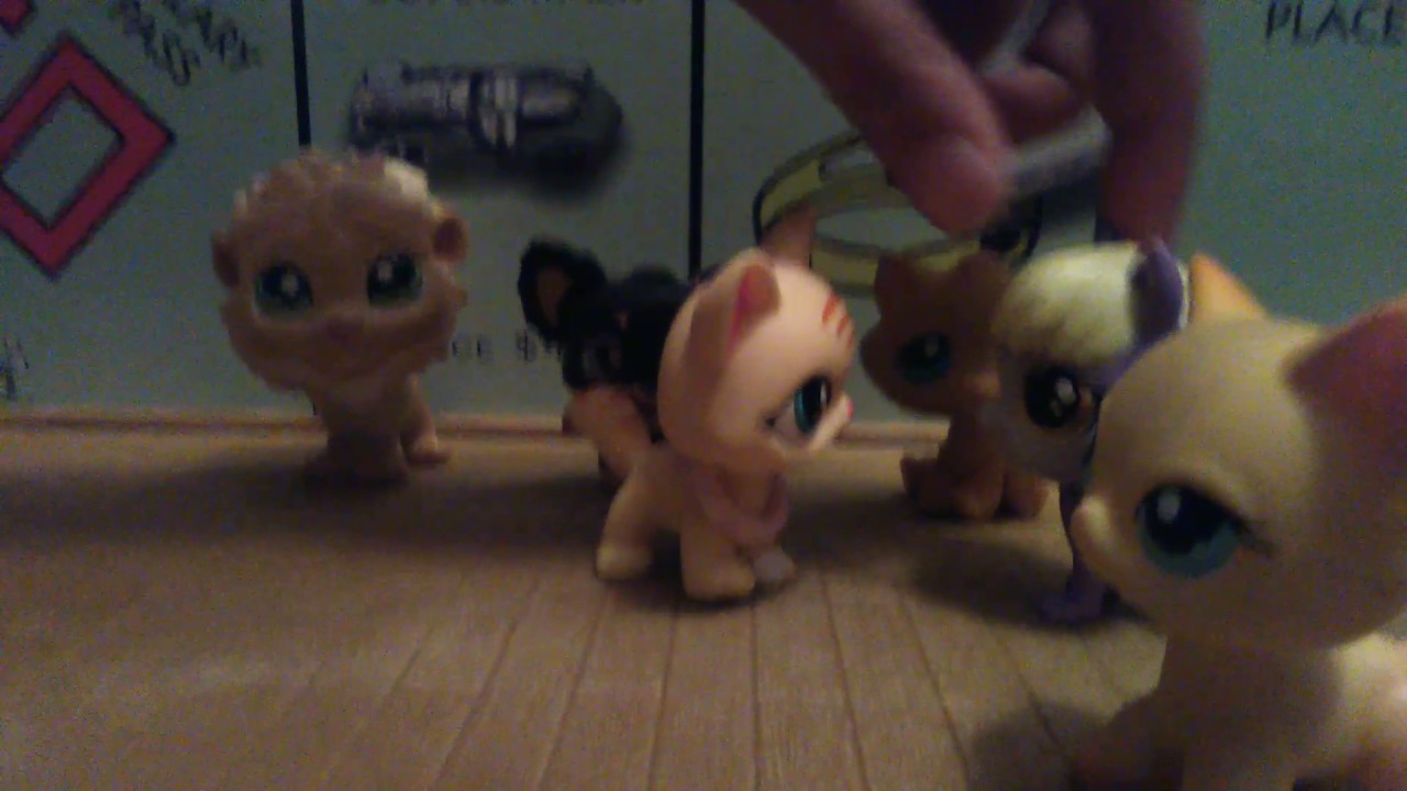 Truth or dares with some of the LPS Gang cast read description - YouTube