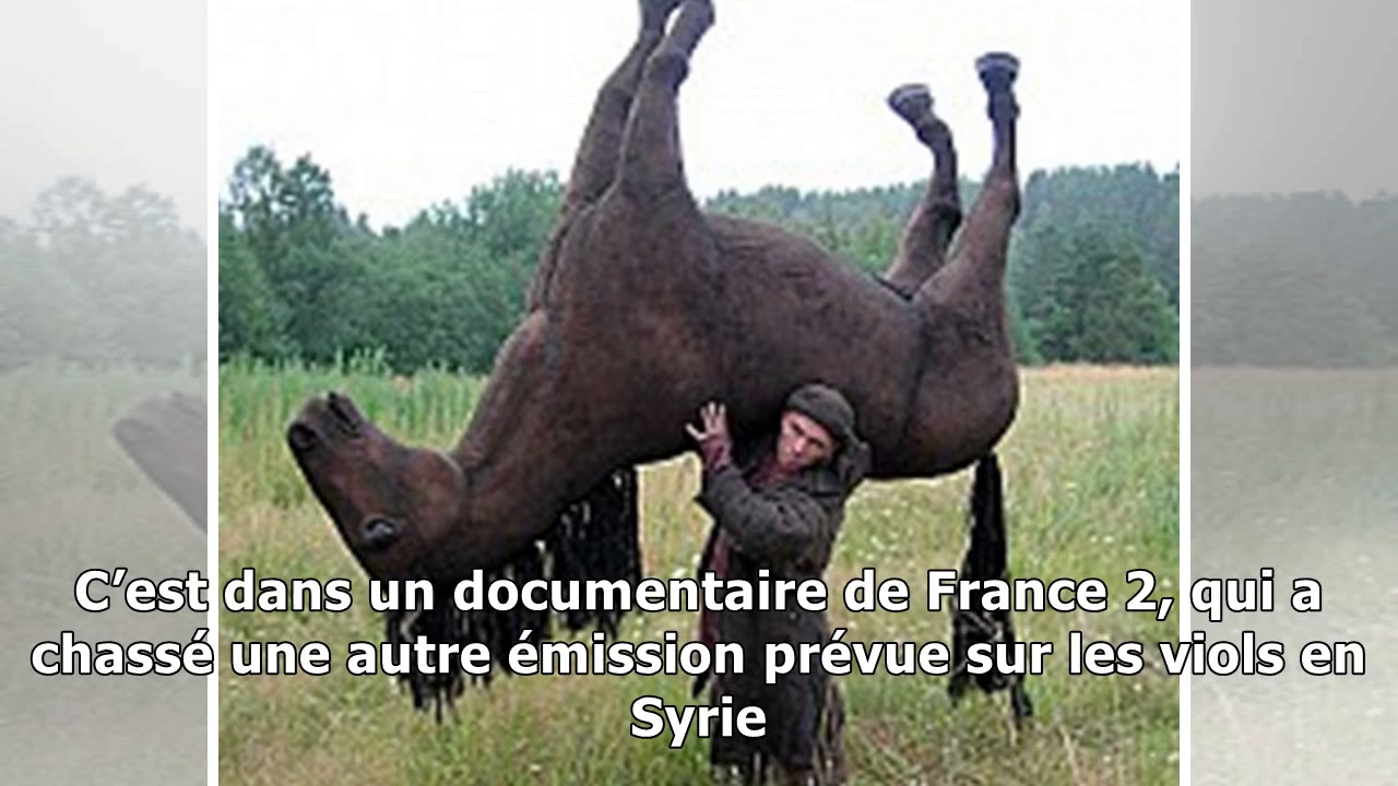 Un lourd cheval mort - YouTube