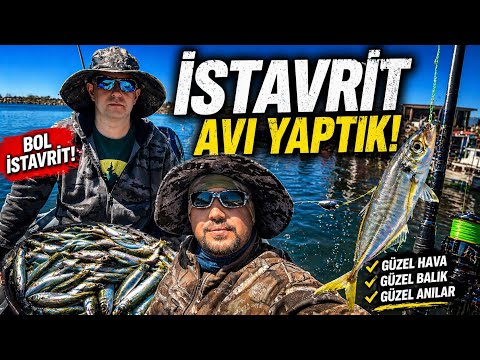 İstavrit Avı Yaptık! 🎣 Bol Balık, Efsane Gün!