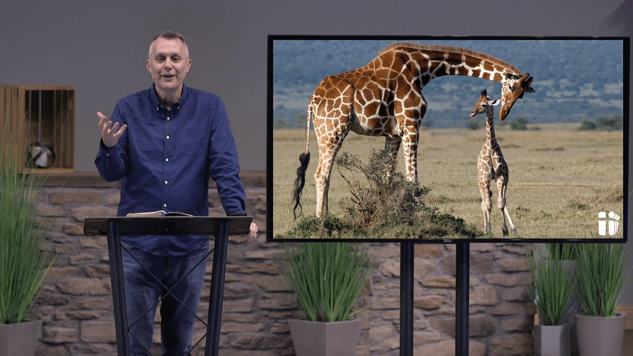 The Story Begins: A Life of Dependence (Genesis 32:22-32) - YouTube