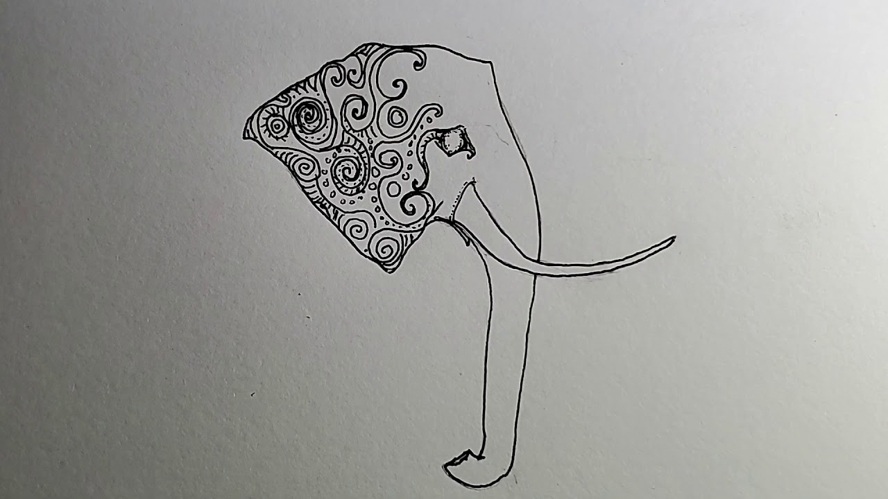 Elephant Queen 🐘 👑 - YouTube