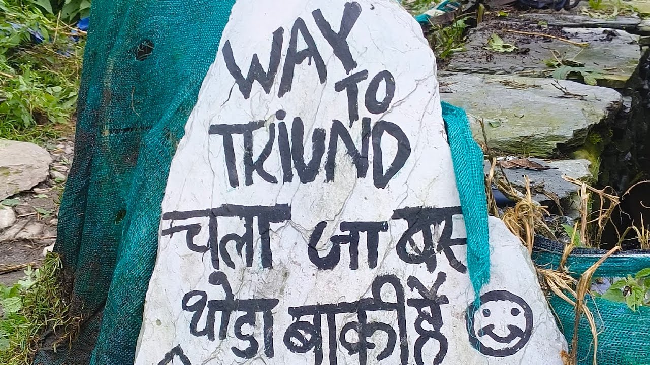 Vlog part 2| Triund trek at night | Finally found the way back ...