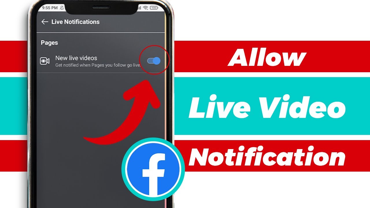 How To Turn On Live Notifications On Facebook 2024 - YouTube