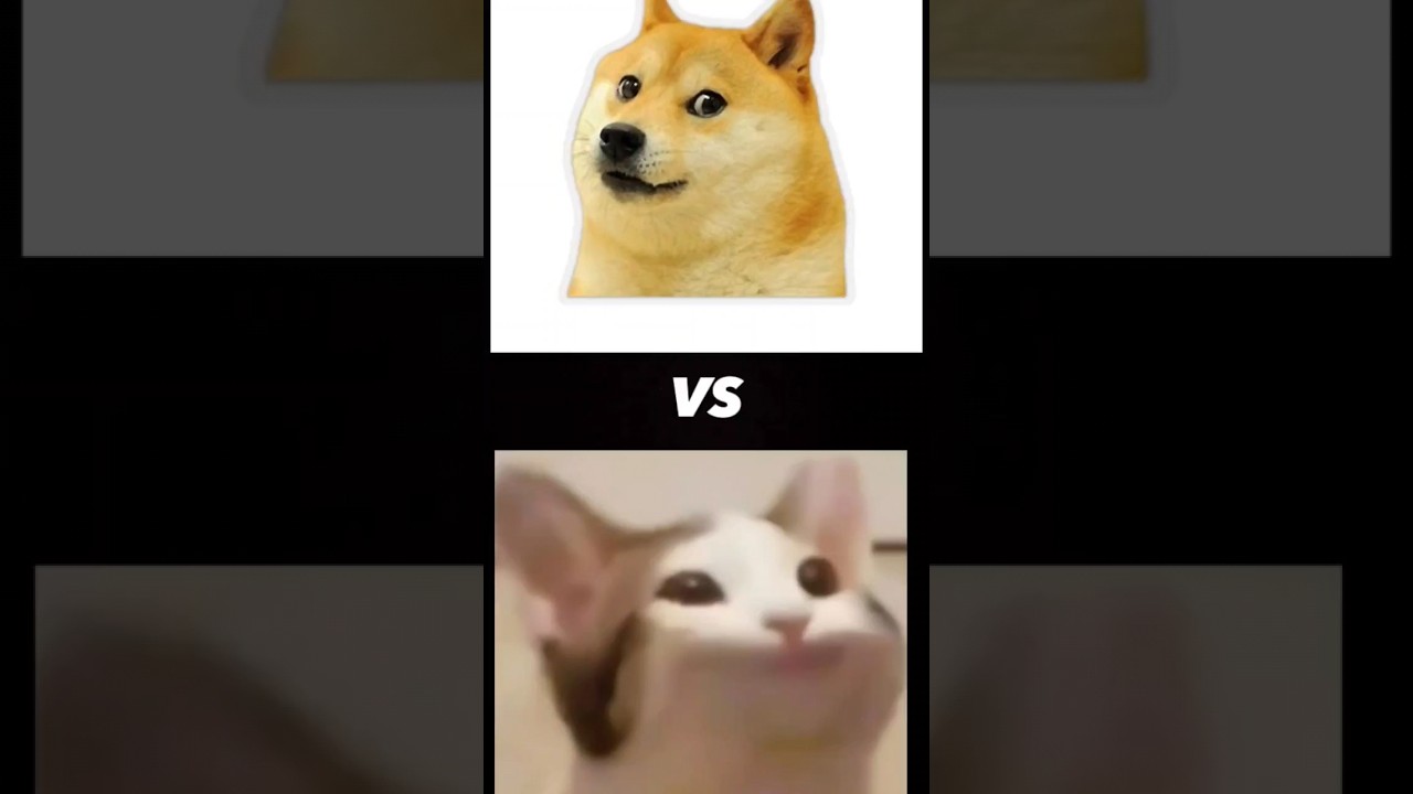 Doge vs Popcat #doge#vs#popcat - YouTube