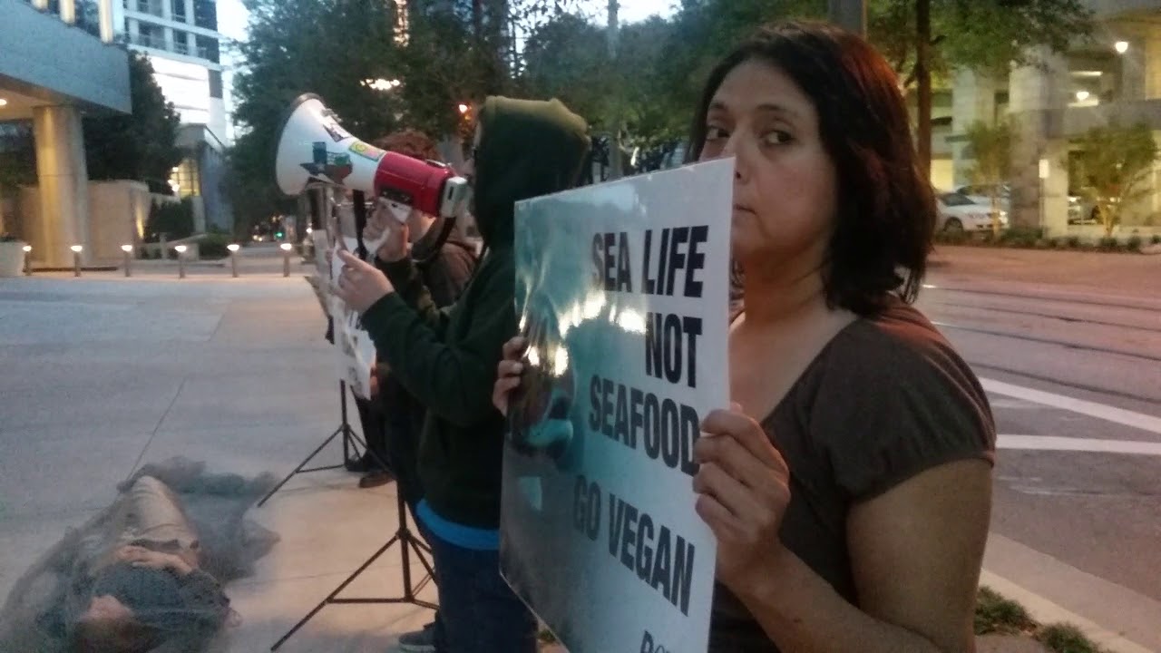 Protest Against Fishing - YouTube