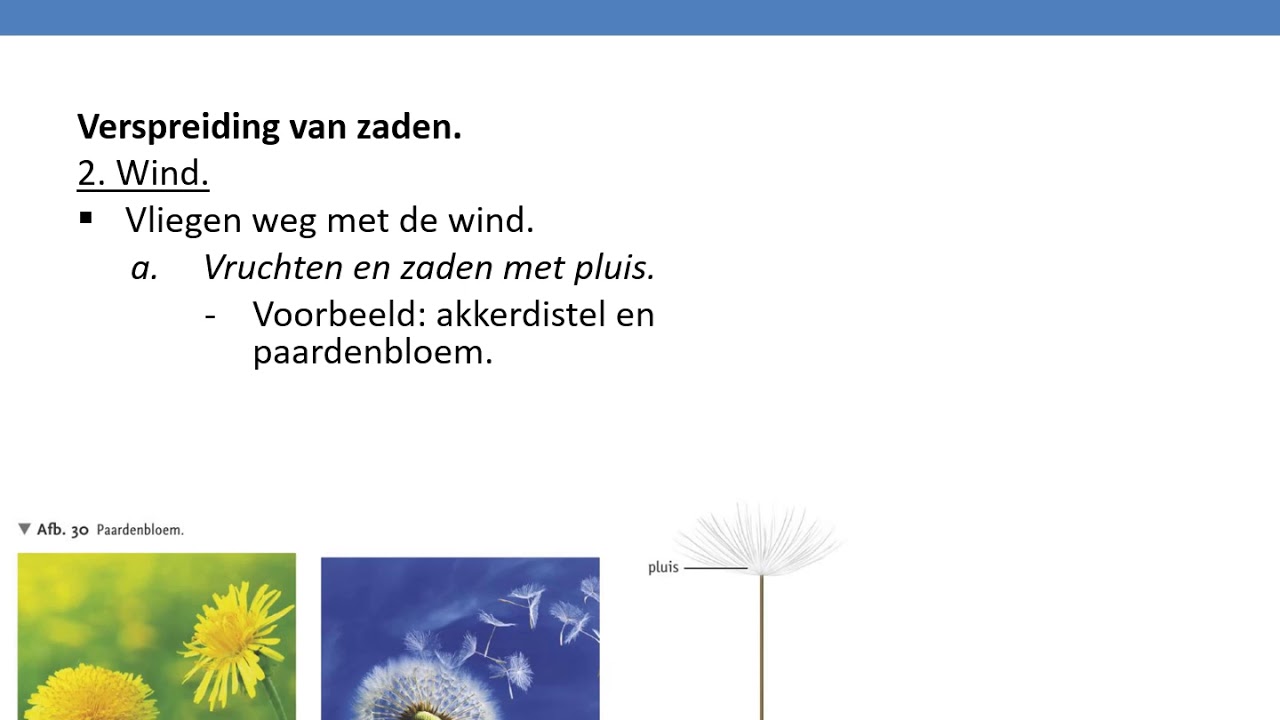 7.5 Verspreiding van vruchten en zaden - YouTube