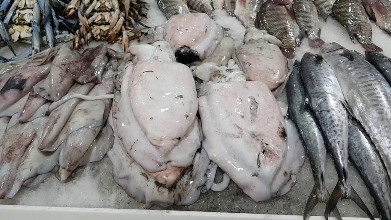 Dubai Fish and Seafood Market - WaterFront Market in Dubai - World's ...