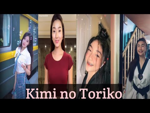 Kimi No Toriko  ( Summertime ) | Tiktok Compilation Girls Version