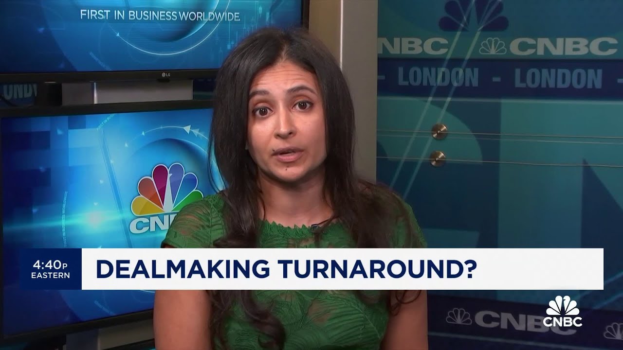 Investors are watching Reddit IPO 'very closely': Raymond James ...