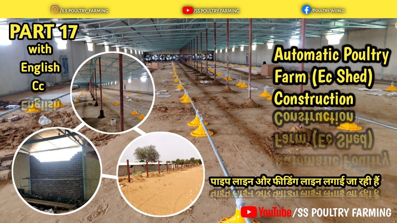 Part-17, Automatic Poultry Farm(EC Shed) construction,ऑटोमैटिक पोल्ट्री ...