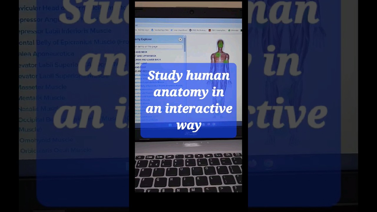 Study Human Anatomy In An Interactive Way shorts youtubeshorts YouTube study-human-anatomy-in-an-interactive-way-shorts-youtubeshorts-youtube