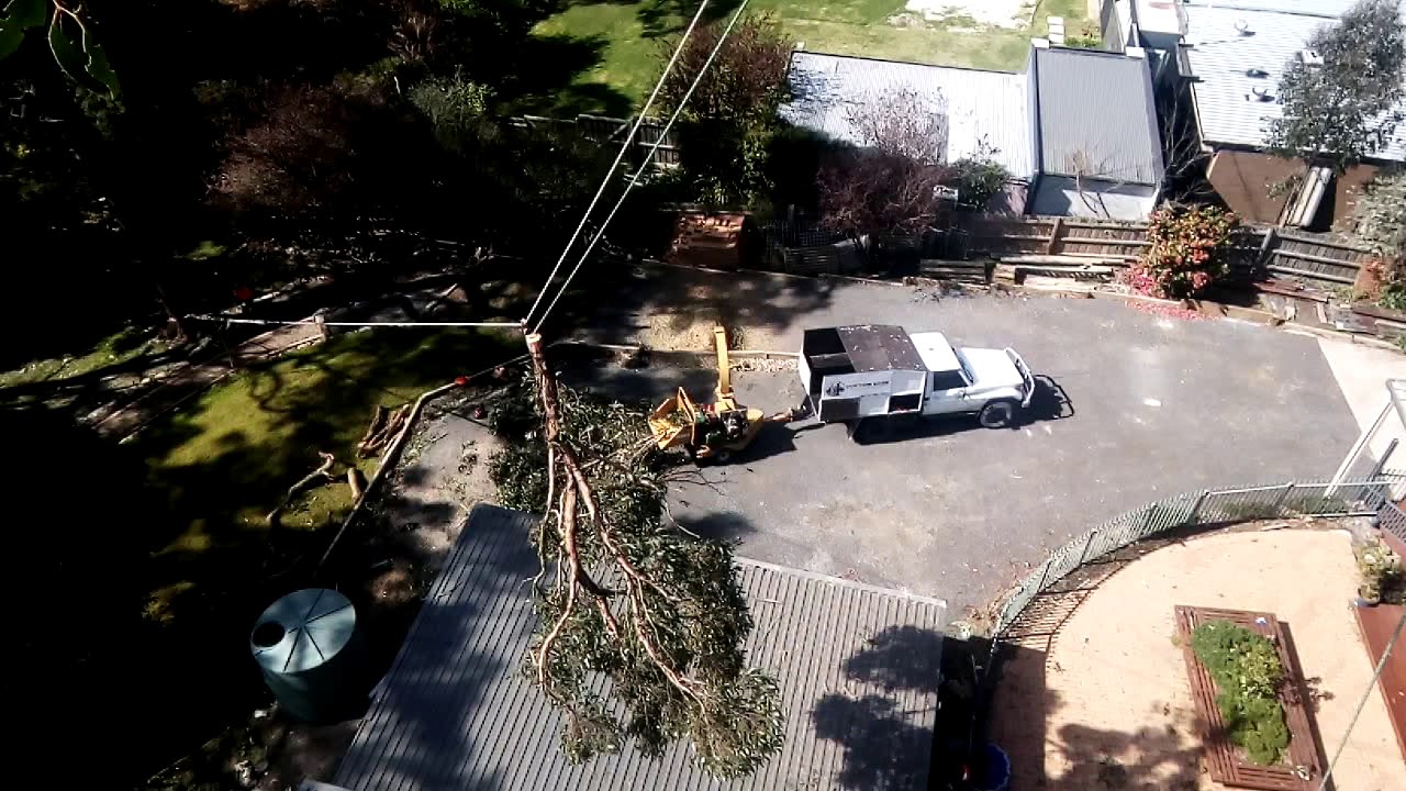 Controlled Speedline by Cutting Edge Tree Management - Ballarat - YouTube