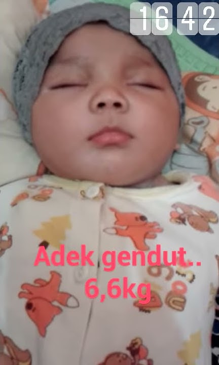 Aqilla hasna gendut ya.. bbnya 6,6kg - YouTube
