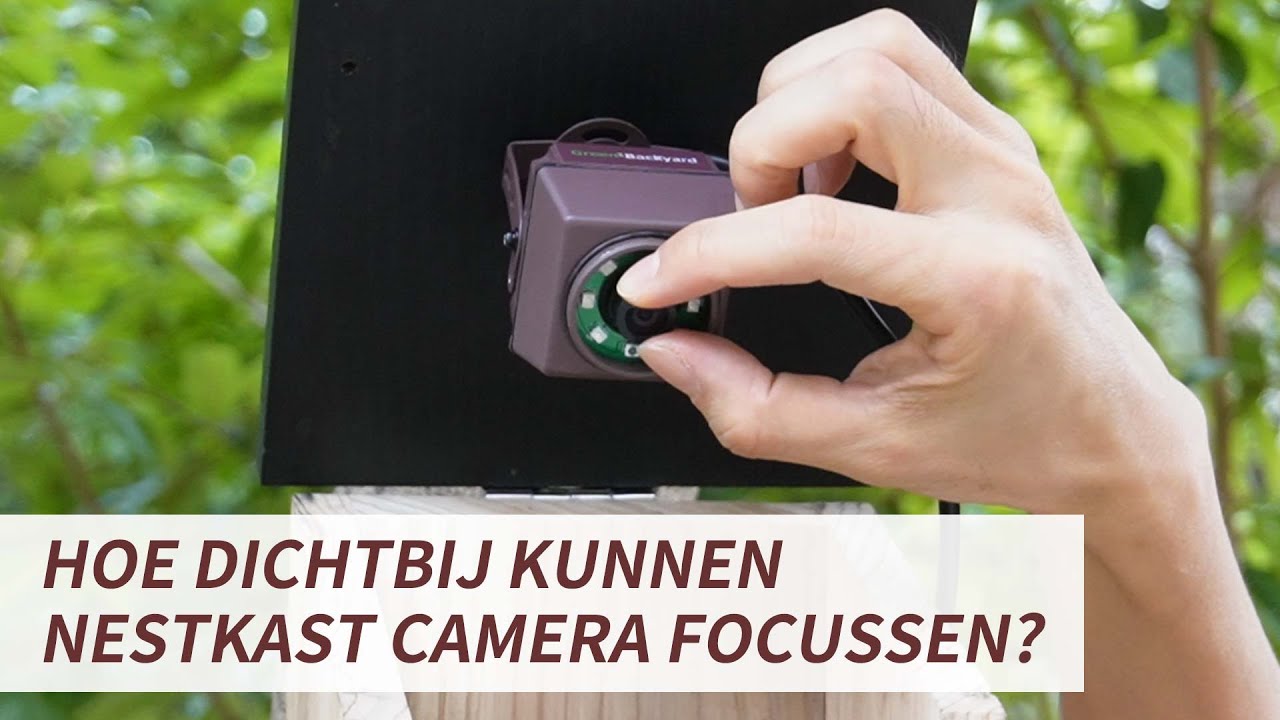 WIFI Nestkast Camera Review: verstelbare lens voor perfect vogels ...