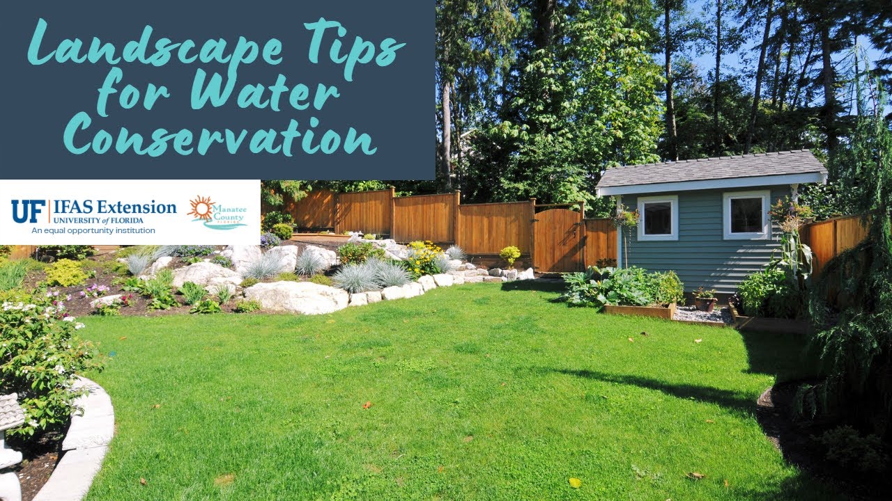 Landscape Tips for Water Conservation - YouTube