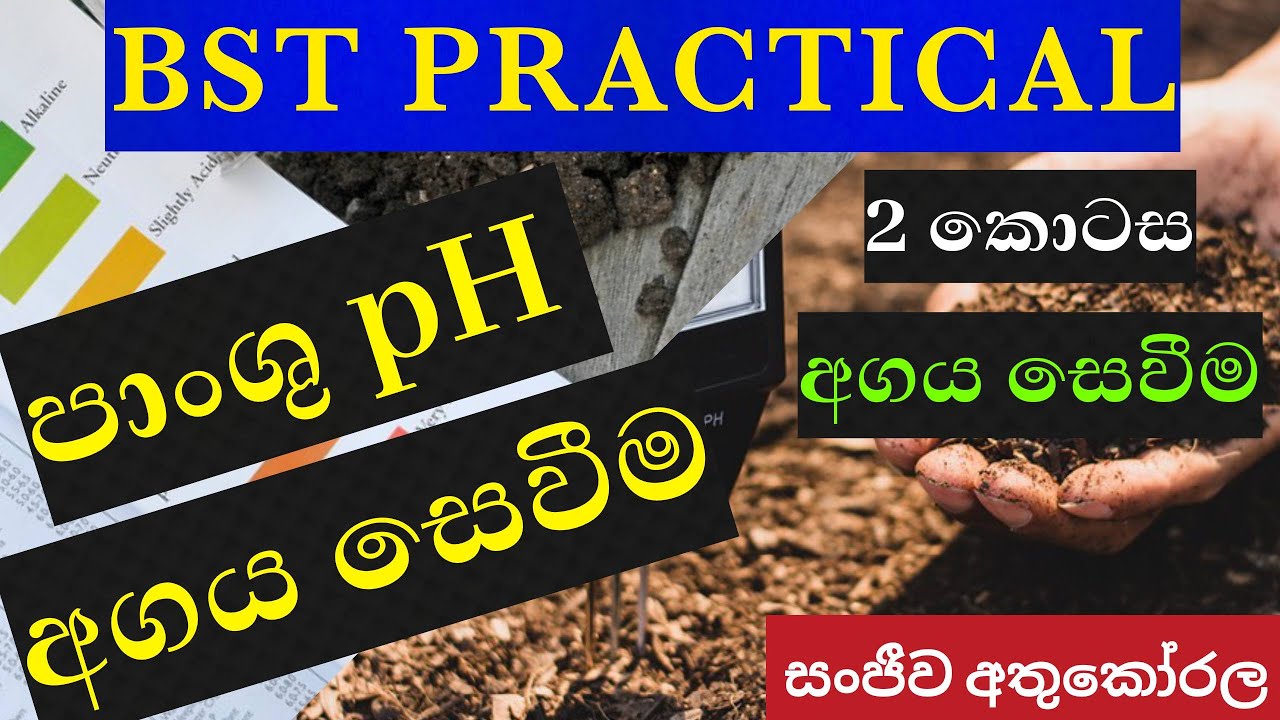 BST PRACTICAL පාංශු pH අගය (Part 2) - YouTube