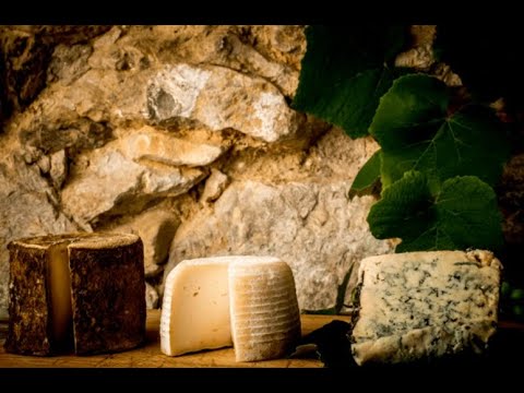 A Brief History of Cheese - From the Origins to Now - YouTube