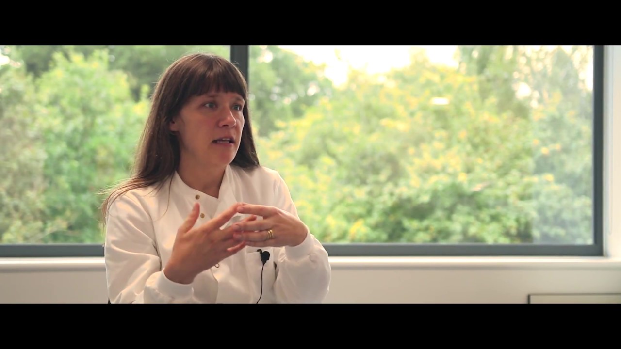 Leaf Expression Systems - YouTube