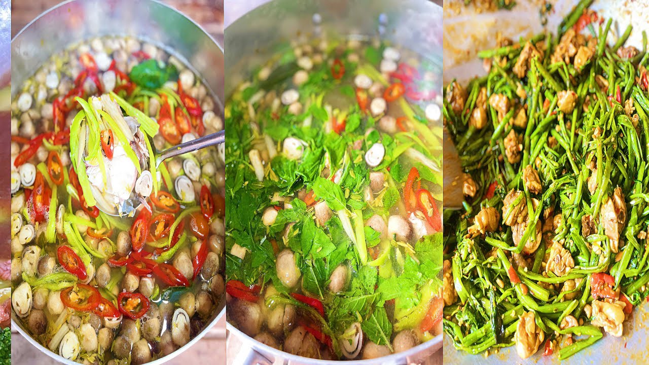 Wow’s Delicious Daily Food with Lovely Cooking of Beautiful Cooker ...