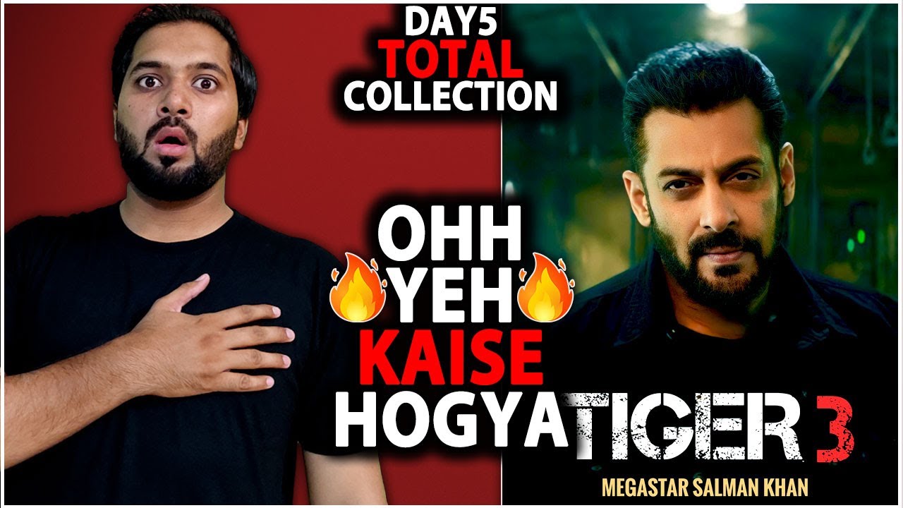 Tiger 3 Day 5 Total Box Office Collection | Tiger 3 Box Office ...