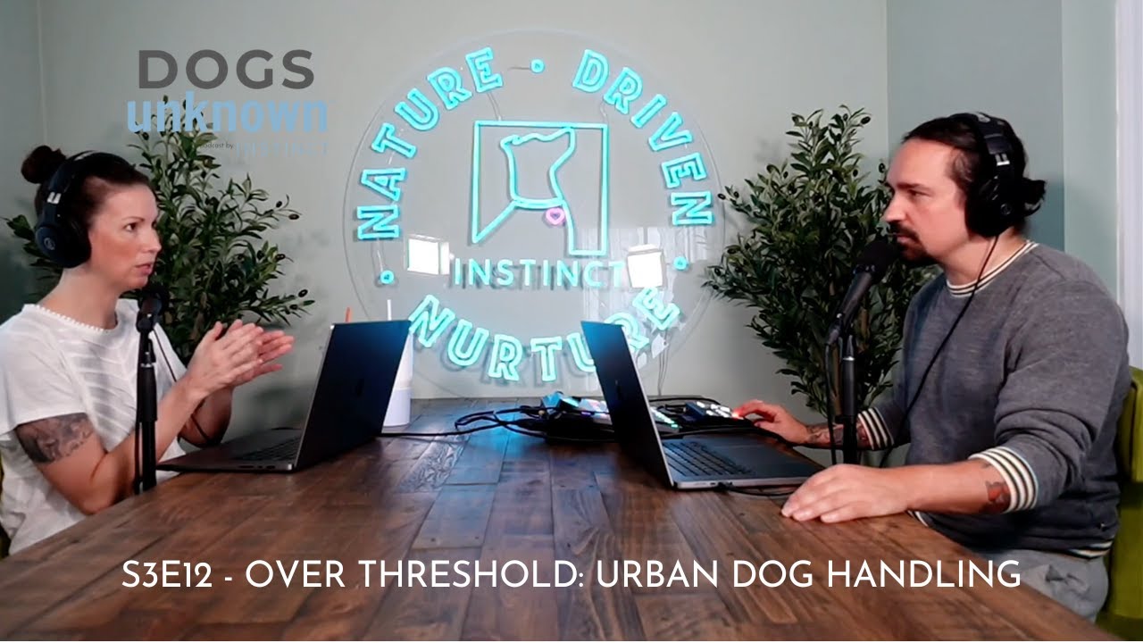 Dogs Unknown S3E12 - Over Threshold: Urban Dog Handling - YouTube