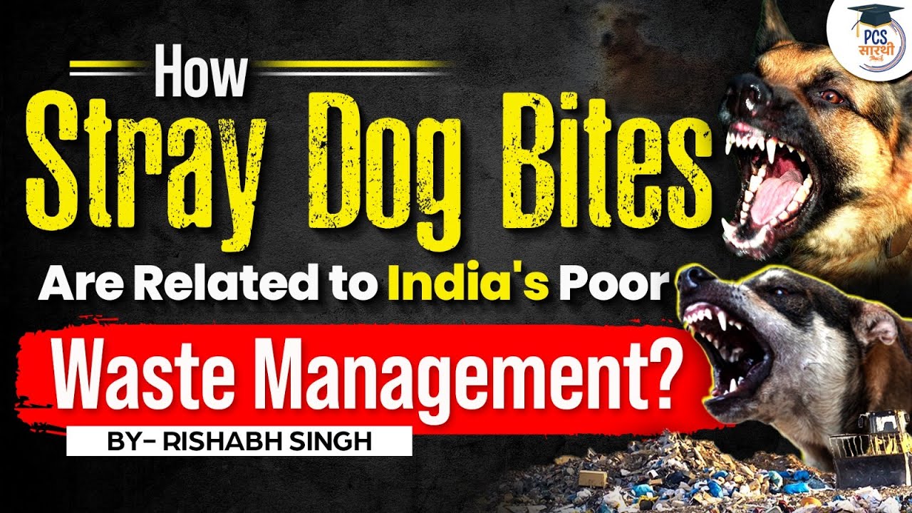 Stray Dog Bites in India: The Alarming Consequence of Poor Waste ...