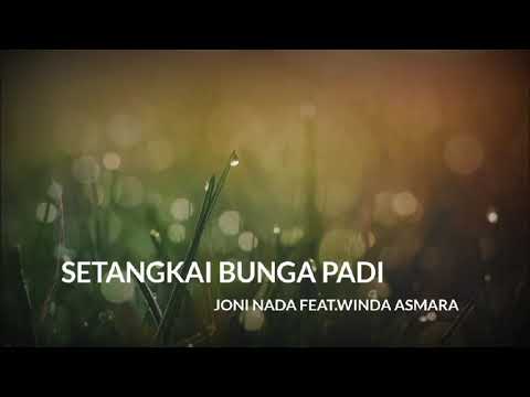 Setangkai bunga padi - YouTube