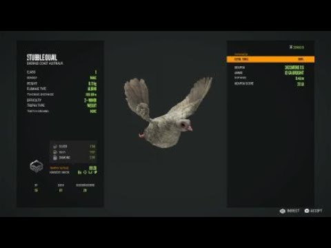 theHunter: Call of the Wild Albino quail!!! - YouTube