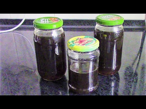 Сироп из одуванчиков ( одуванчиковый мед ). Как приготовить лечебный ...