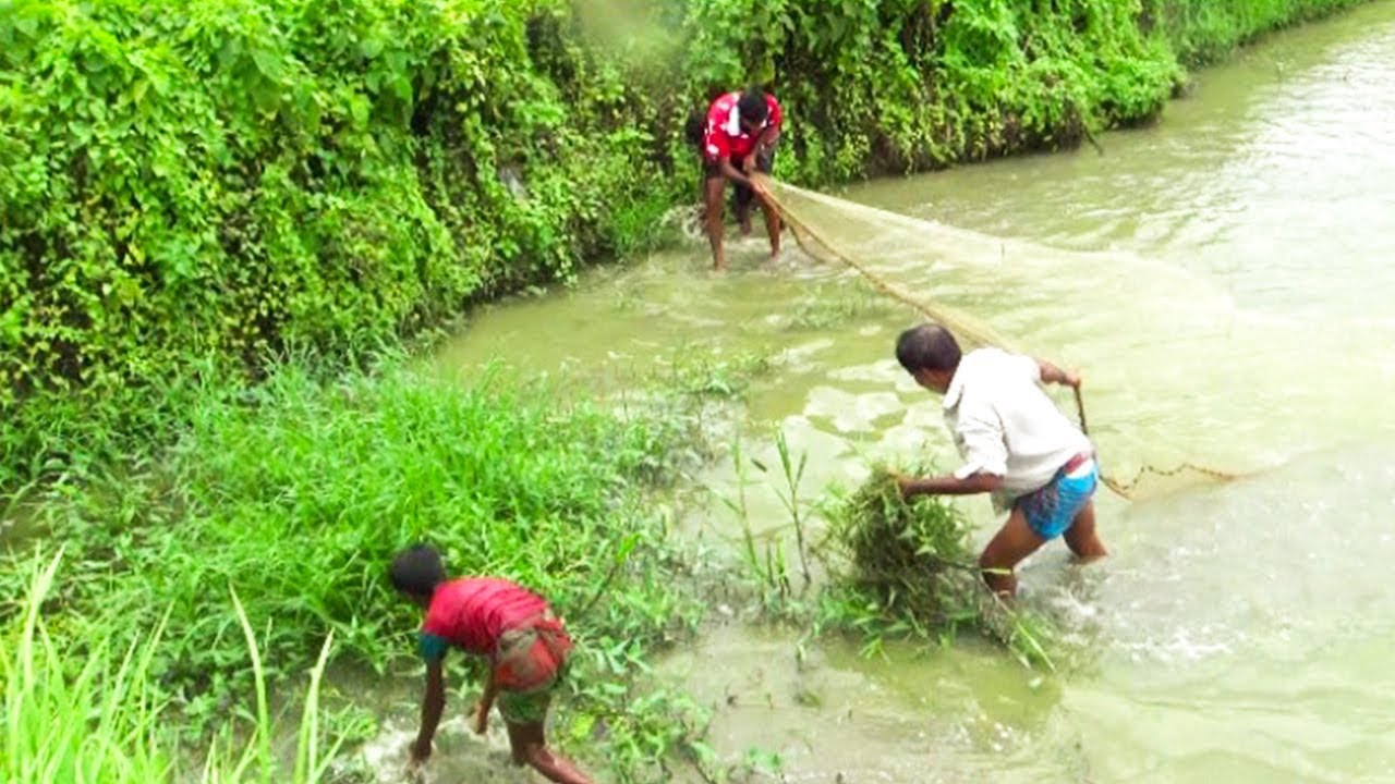 Asian Traditional Best Hand Fishing in Village by Cast Net | Village ...