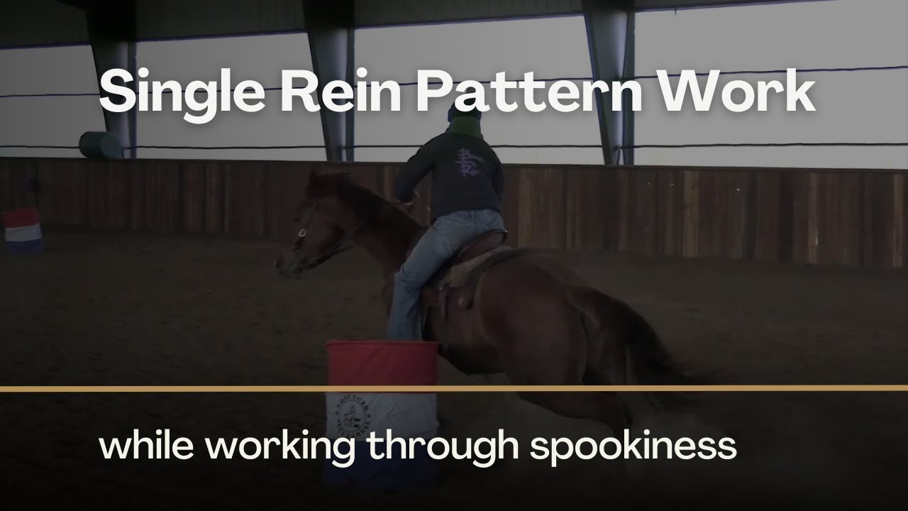 Single Rein Pattern Work with a Spooky Young Barrel Horse in Training ...