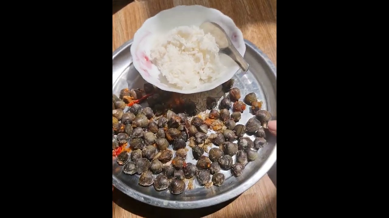 លៀសហាល river shell - YouTube
