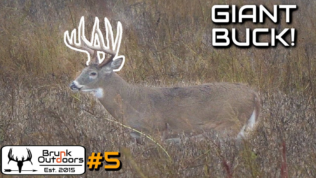 GIANT BUCK AT 50 YARDS! | 2021 Deer Season Episode 5 - YouTube