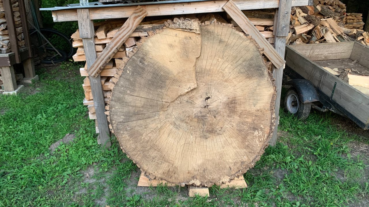 Giant Ash Rounds Splitting/Stacking #ash #firewood - YouTube