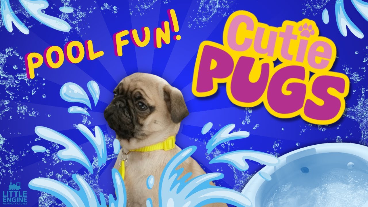 Pool Fun 💦 | Cutie Pugs🐶 | Animals for Kids🐾 - YouTube
