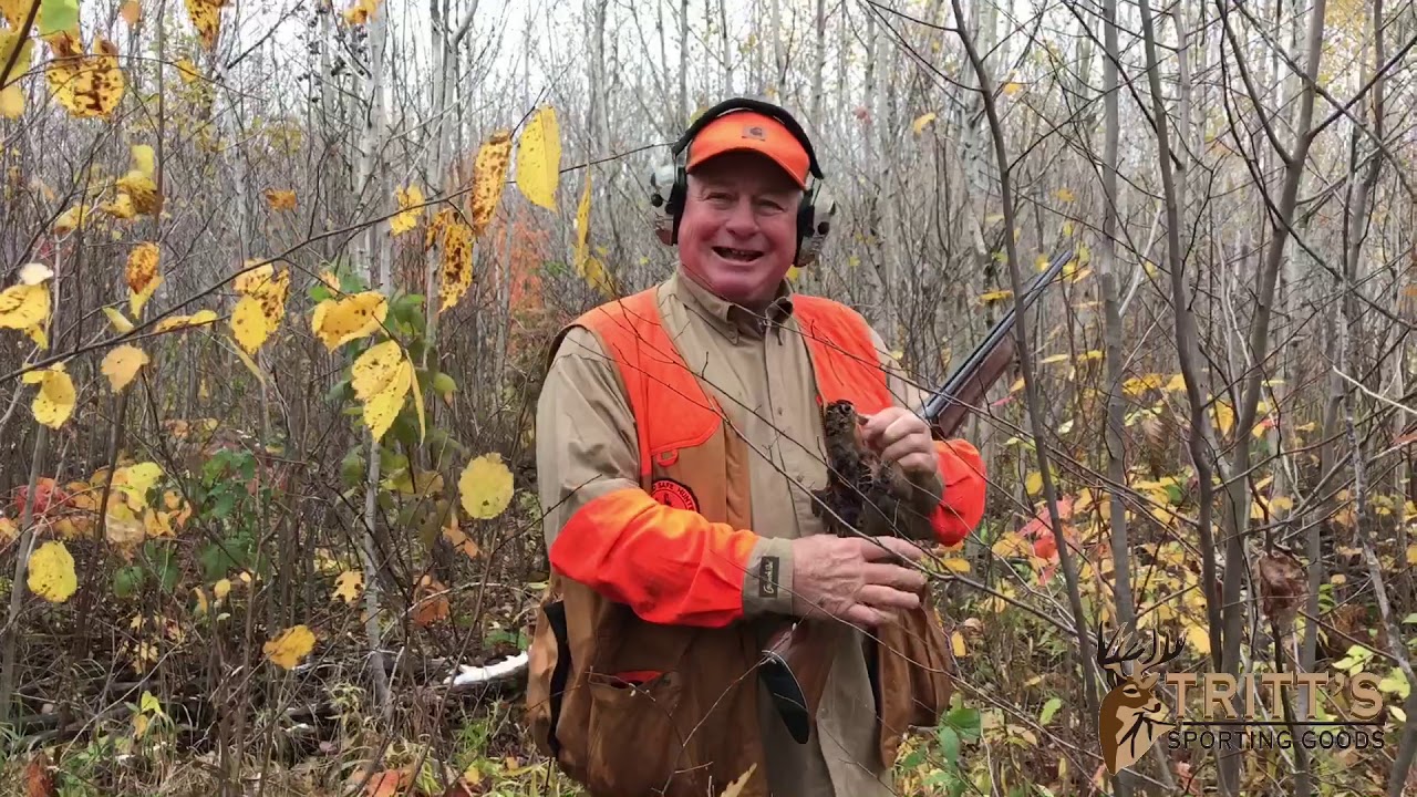 Grouse Camp 2019 Day 2! Grouse and Woodcock Hunting in Wisconsin - YouTube