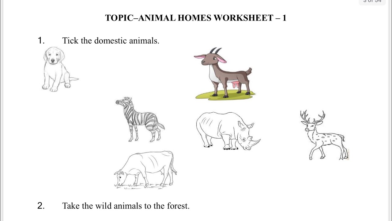 Class 1, EVS chapter ANIMAL Homes worksheet solution with explanation ...
