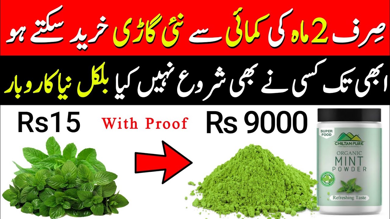 Earn Money Without Investment From Mint Formula | Mint Powder Business ...