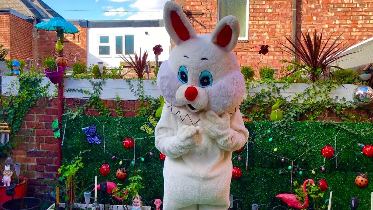 Bunny Hokey Pokey - YouTube