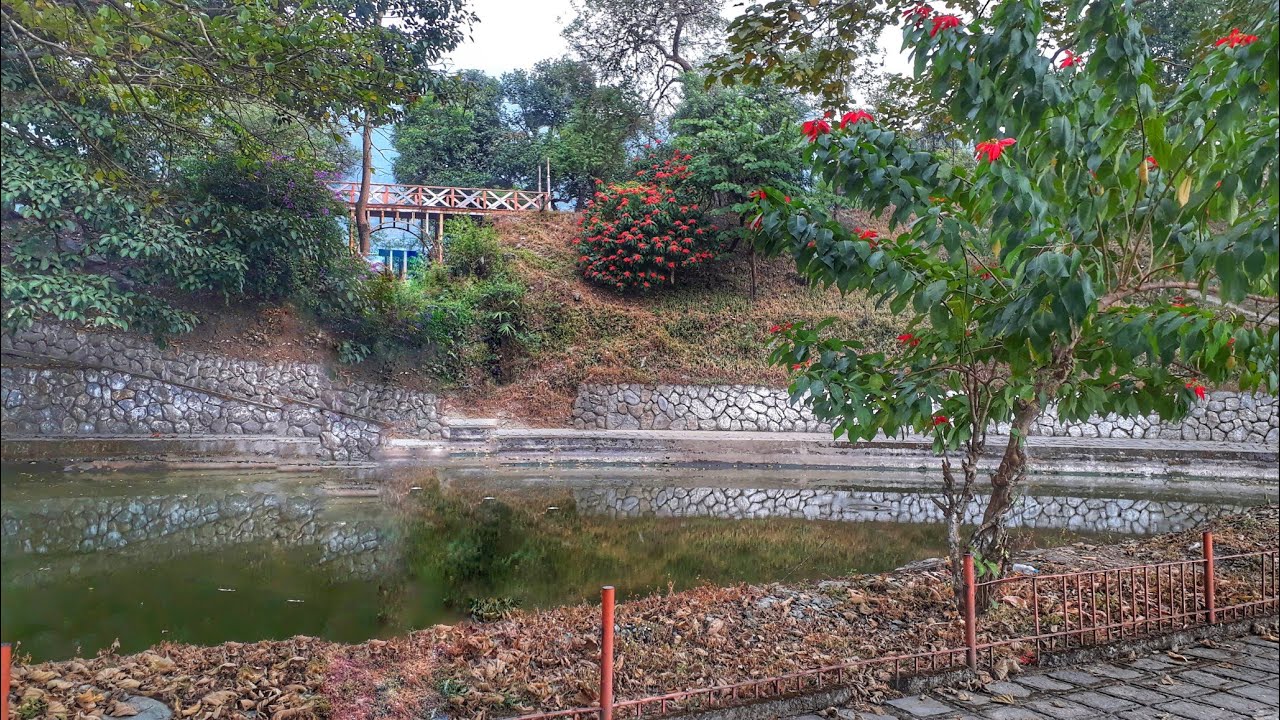 Rohini - a beautiful hilly hamlet on the way to Darjeeling - YouTube